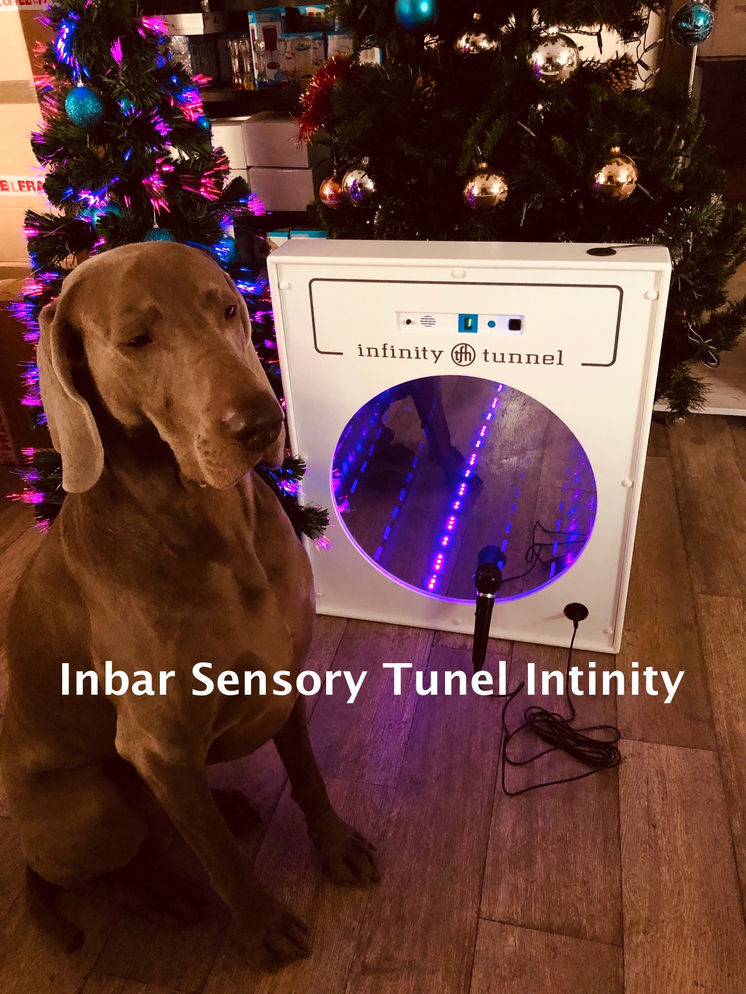 Tunel Infinity TFH – Polski Producent Sal Doświadczania Świata